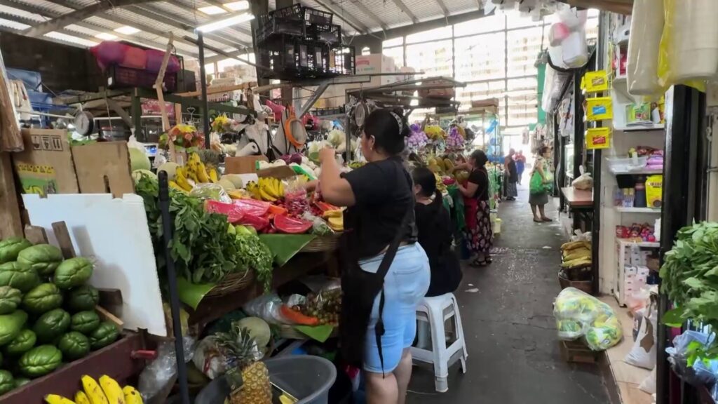 Ley de mercados municipales - Canal 12 de El Salvador