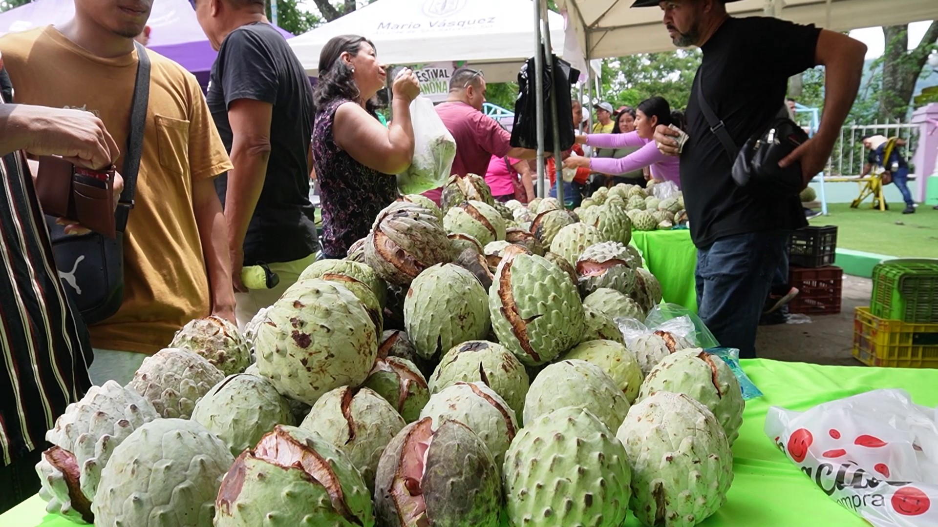 Festival de la Anona - Canal 12 de El Salvador